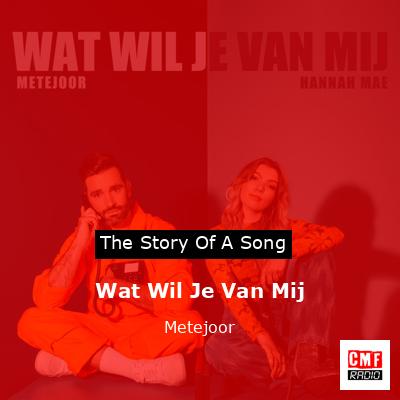 The story and meaning of the song 'Wat Wil Je Van Mij - Metejoor