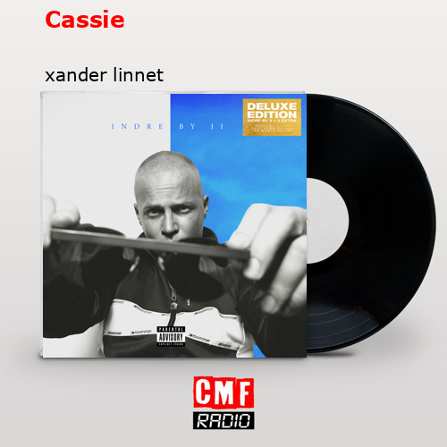 The story and meaning of the song 'Det Burde Ikk Være Sådan Her ...