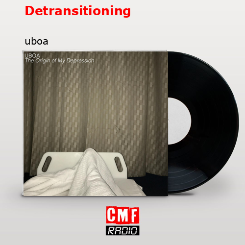 The story and meaning of the song 'Detransitioning - uboa