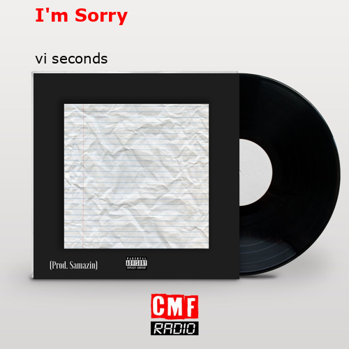 The story and meaning of the song 'I'm Sorry - vi seconds