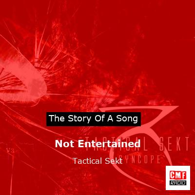 The story and meaning of the song 'Not Entertained - Tactical Sekt