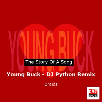 The story and meaning of the song 'Young Buck - DJ Python Remix - Braids