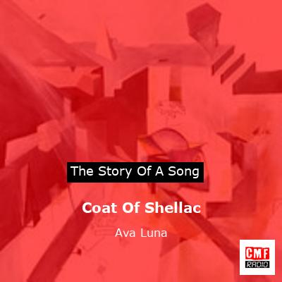 The story and meaning of the song 'Coat Of Shellac - Ava Luna