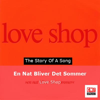 The story and meaning of the song 'En Nat Bliver Det Sommer - Love Shop