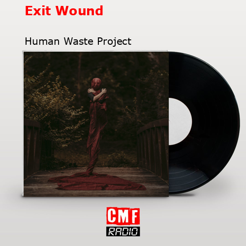 The story and meaning of the song 'Exit Wound - Human Waste Project
