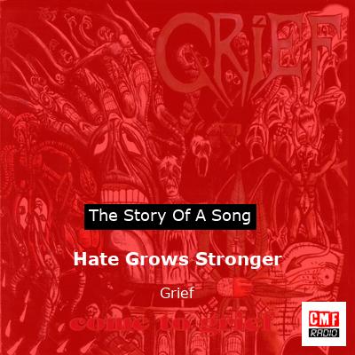 The story and meaning of the song 'Hate Grows Stronger - Grief