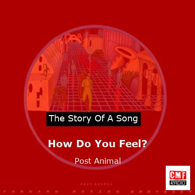 The story and meaning of the song 'How Do You Feel? - Post Animal