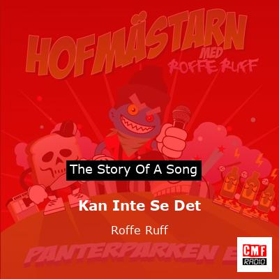 The story and meaning of the song 'Kan Inte Se Det - Roffe Ruff