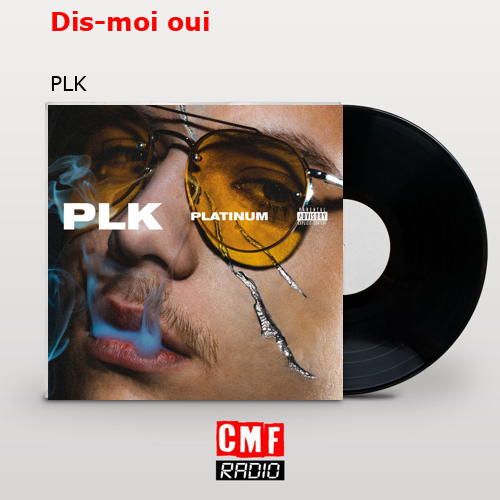 La historia y el significado de la canción 'Dis-moi oui - PLK