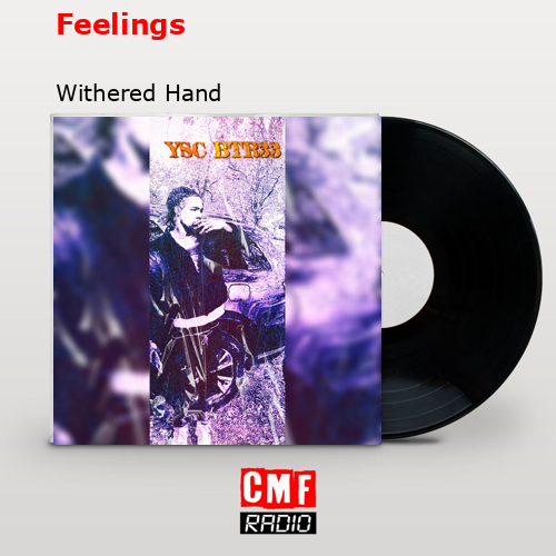La historia y el significado de la canción 'Feelings - Withered Hand