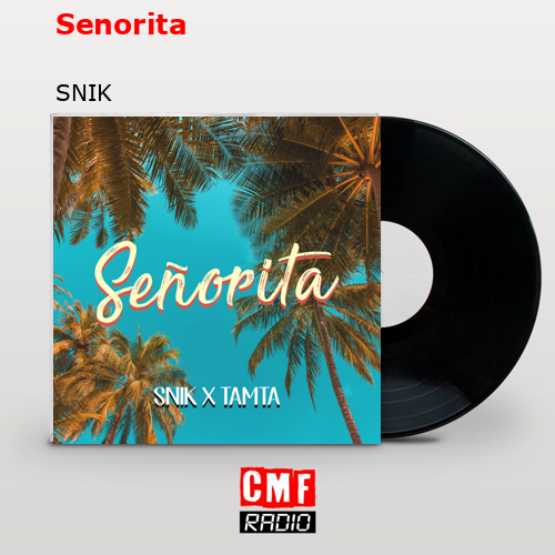 La historia y el significado de la canción 'Senorita - SNIK