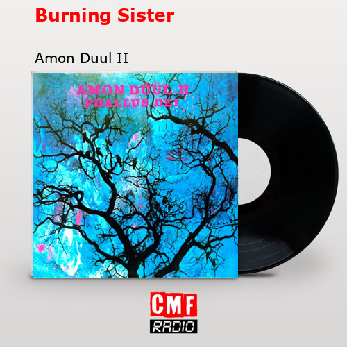 La historia y el significado de la canción 'Burning Sister - Amon Duul II
