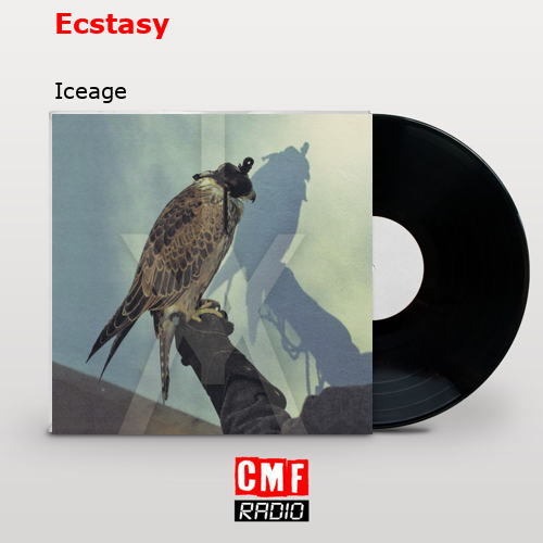 La historia y el significado de la canción 'Ecstasy - Iceage