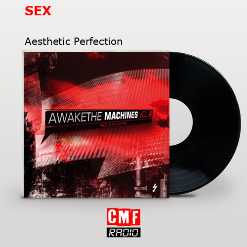La Historia Y El Significado De La Canción Sex Aesthetic Perfection